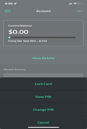 Business Credit Card Management Platform | Citizens