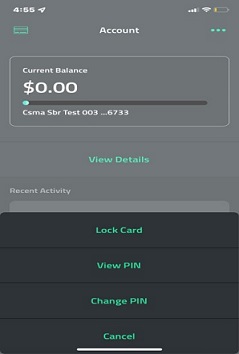 Business Credit Card Management Platform | Citizens