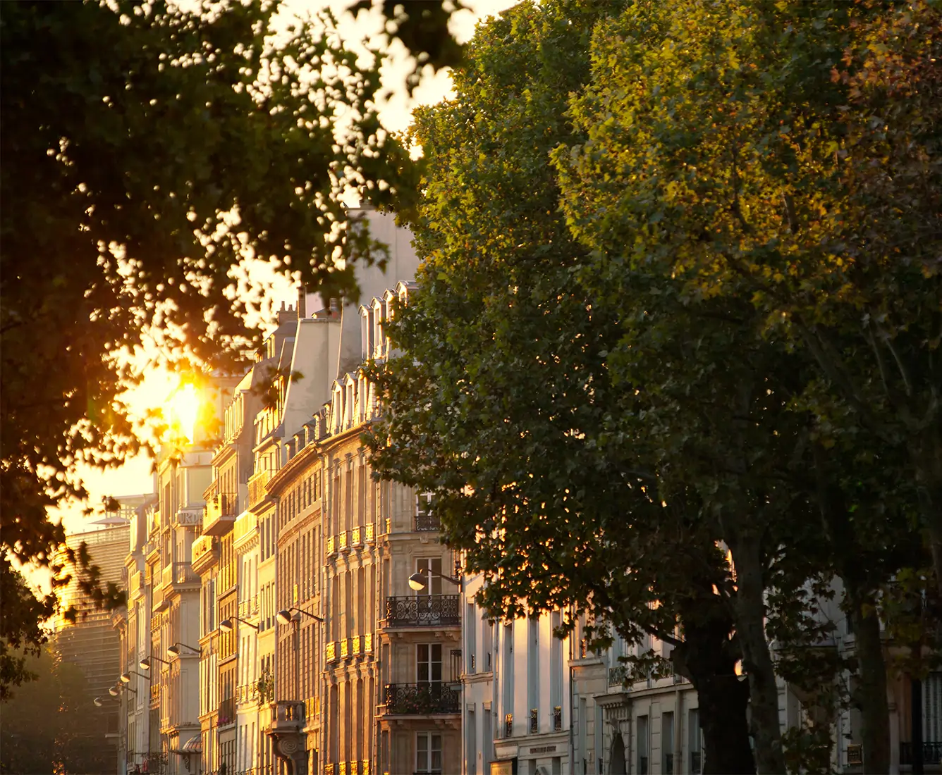 Commercial Real Estate | Citizens Private Bank