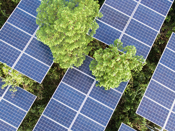 How to Reduce Greenhouse Gas Emissions: Corporate Finance | Citizens